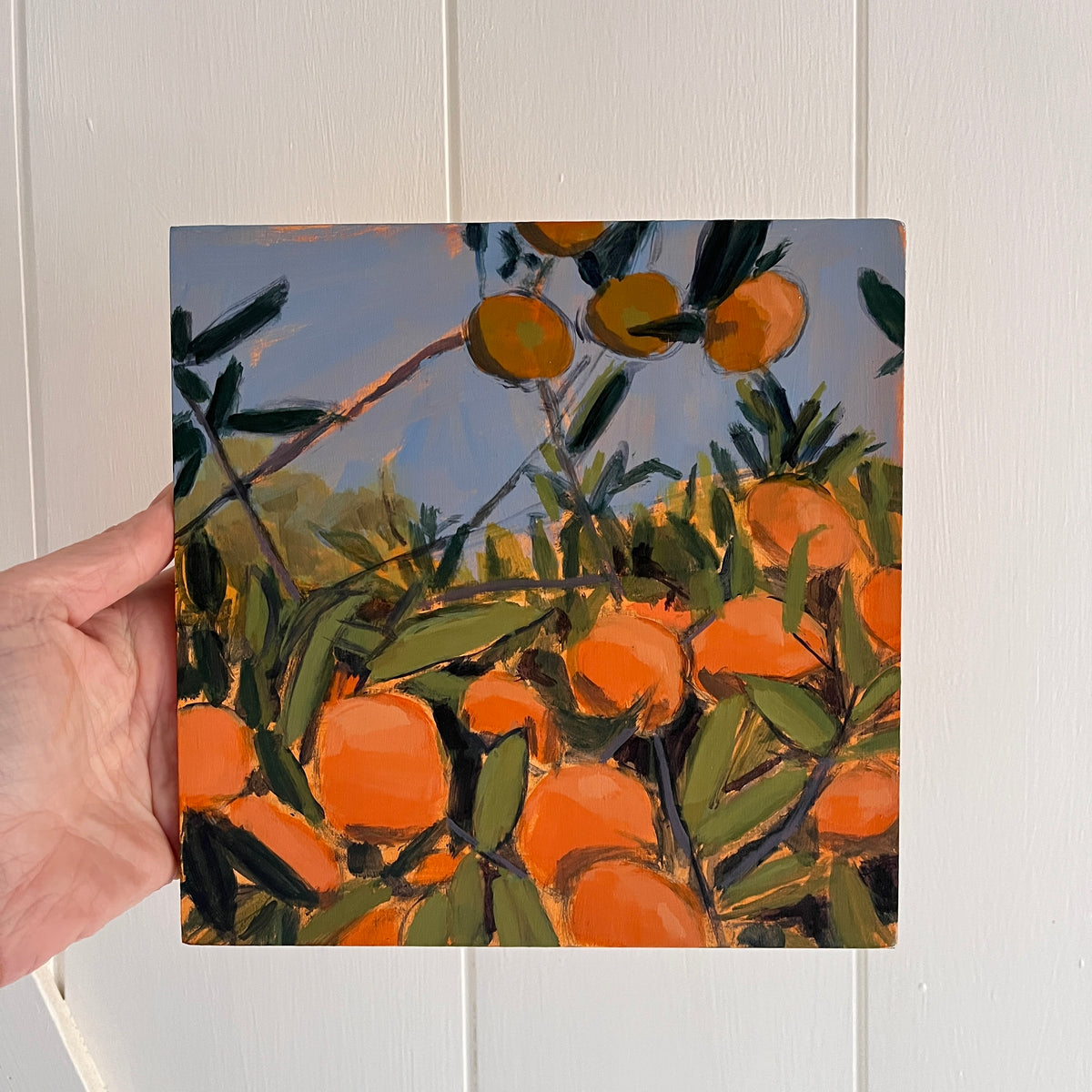 Satsumas – Maggie Stickney